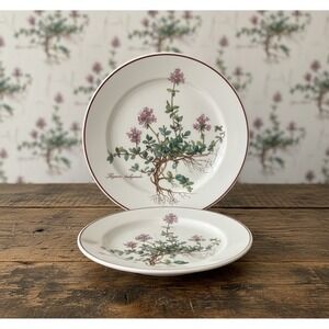 Villeroy & Boch | Dining | Villeroy Boch Botanica Salad Plates Set Of 2 ...